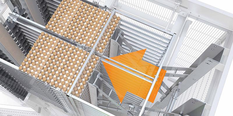Tray transfer system | Egg handling | Royal Pas Reform Integrated ...